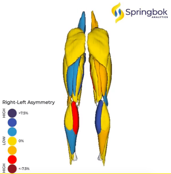 Springbok Analytics - Central Virginia Small Business Development Center